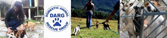 Supporting DARG for Mandela Day | Webafrica Blog