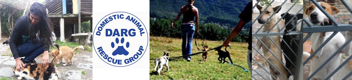 Supporting DARG for Mandela Day | Webafrica Blog